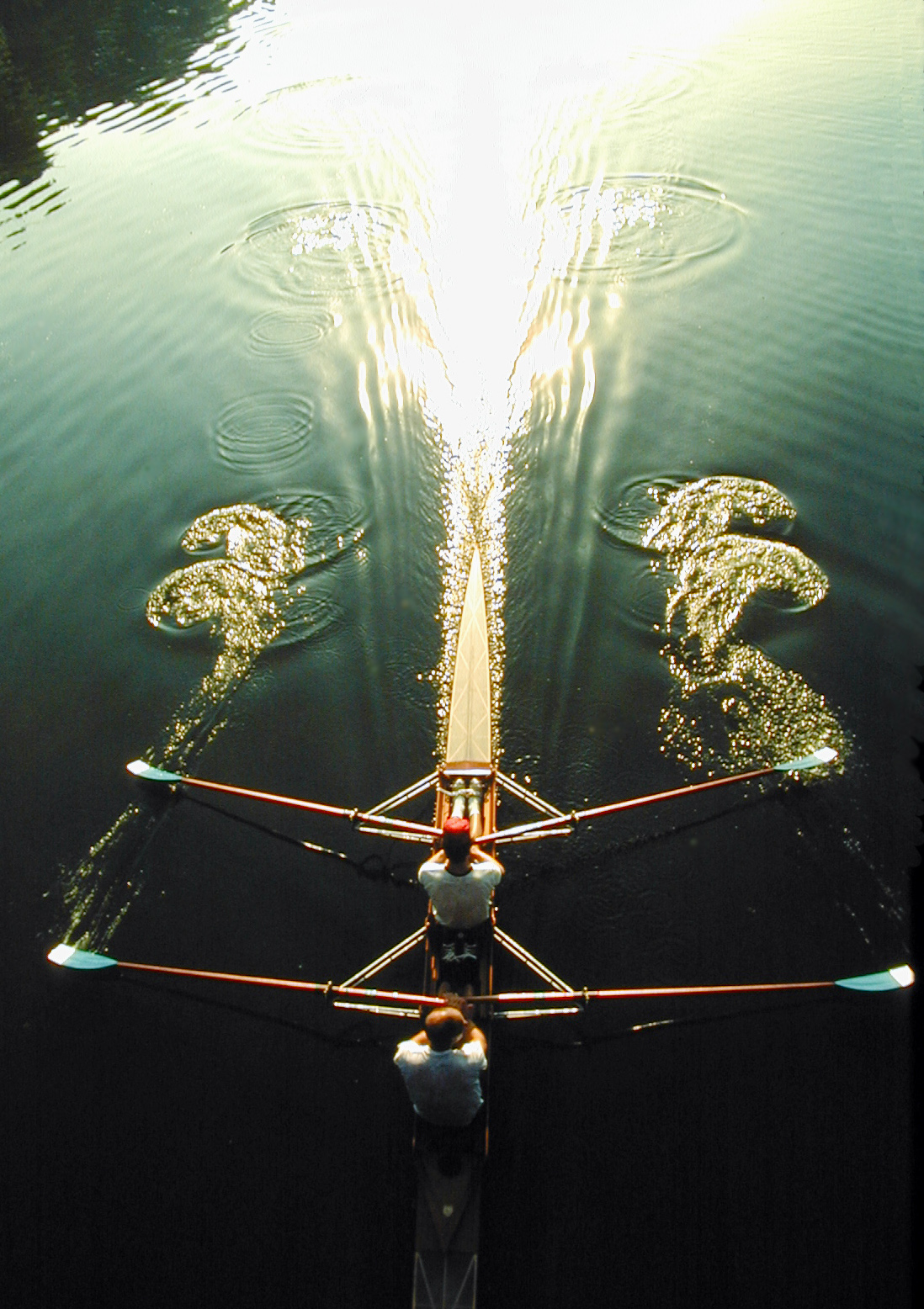 Multidisciplinary motion economy in the cardiothoracic intensive care ...