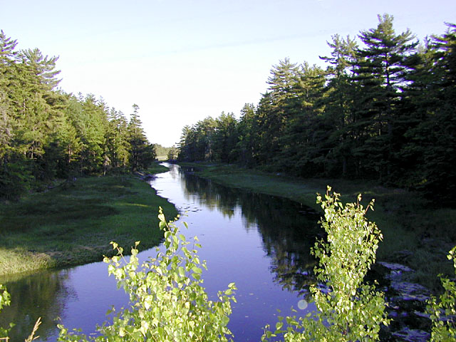 Maine photos (June and September 1999)